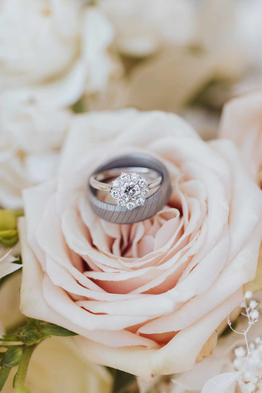 Intimate Temecula Wedding at Olive View Ranch | Anjelica + Ryan